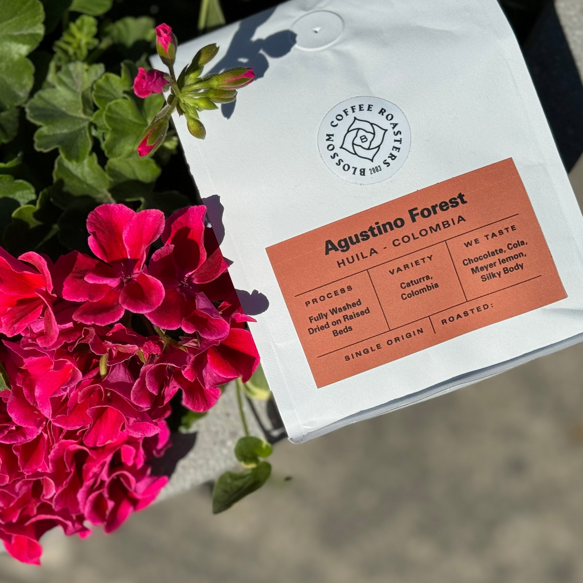 Single Origin Subscription – Blossom Coffee Roasters