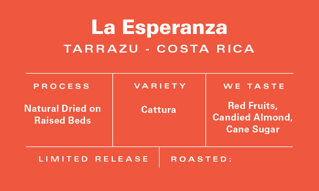 La Esperanza from Tarrazu, Costa Rica - NEW SINGLE ORIGIN – Blossom ...