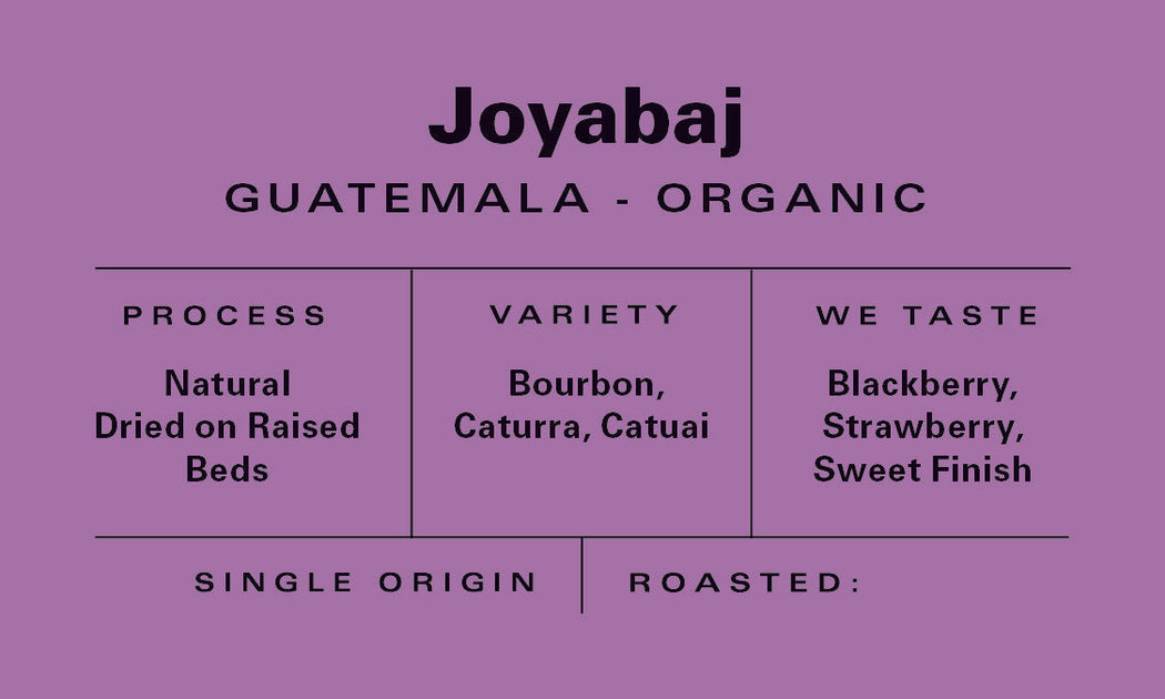 Organic Guatemala Joyabaj - Natural - NEW SINGLE-ORIGIN! – Blossom ...