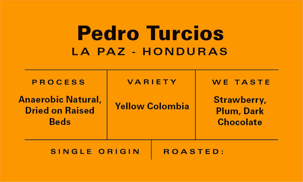 Pedro Turcios from La Paz, Honduras - NEW SINGLE ORIGIN – Blossom ...