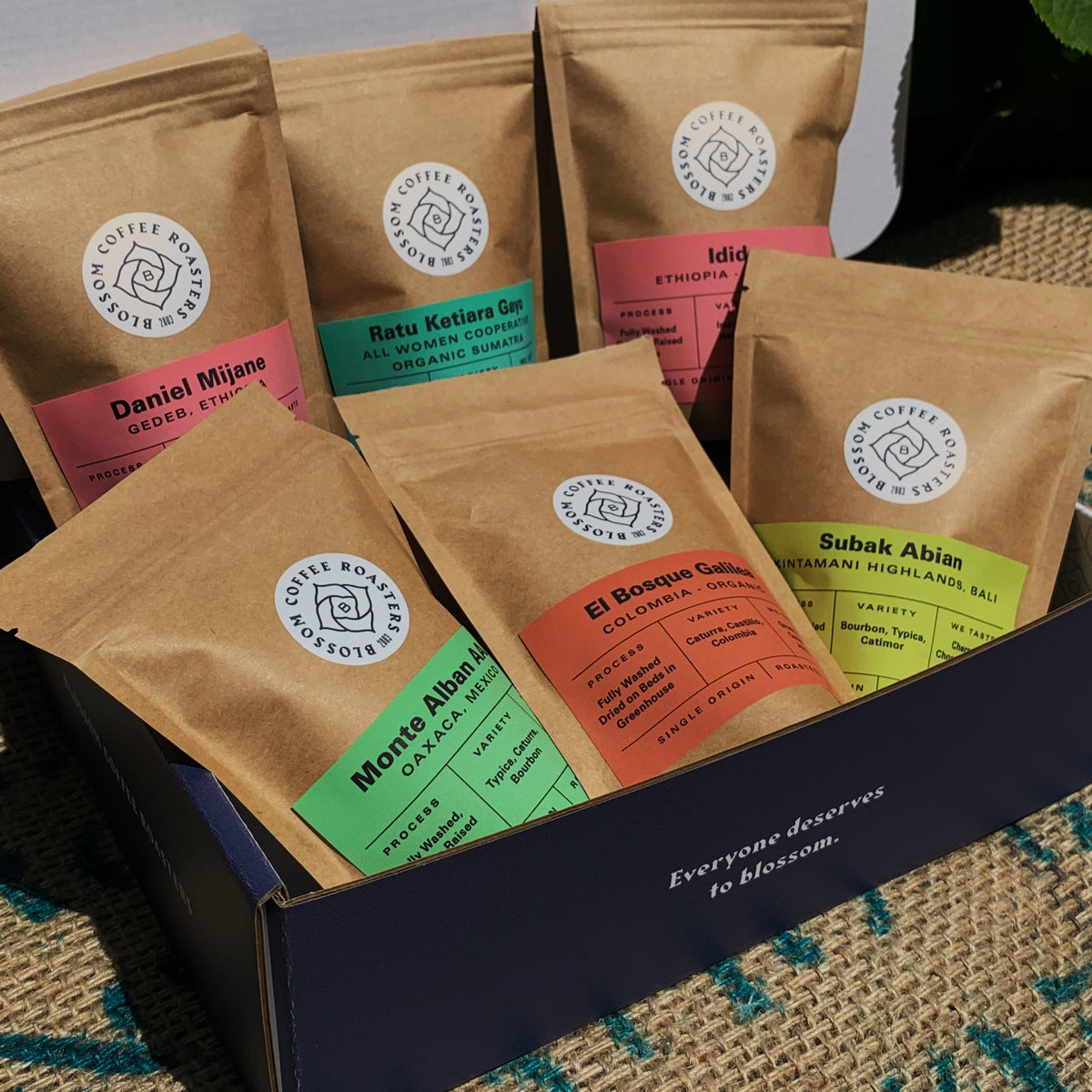 The Single-Origin Sampler Box – Blossom Coffee Roasters